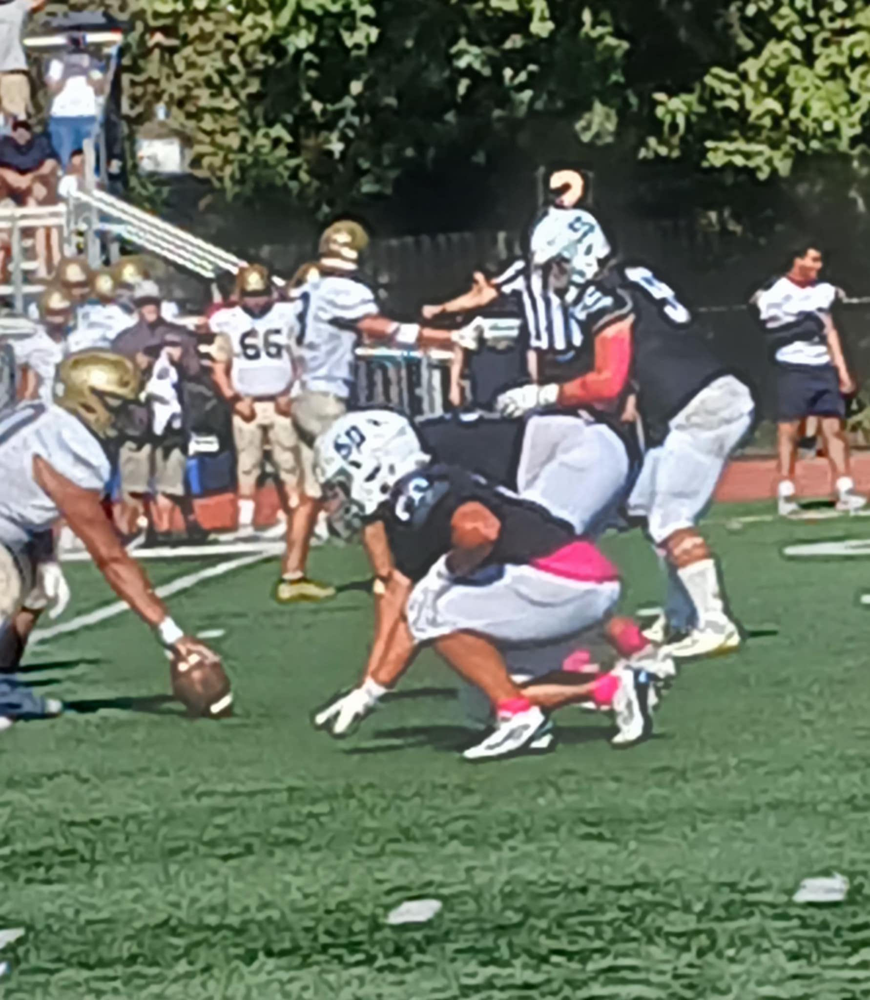 Chatham Cougar Football Falls Just Short to Roxbury in Tough Defeat ...